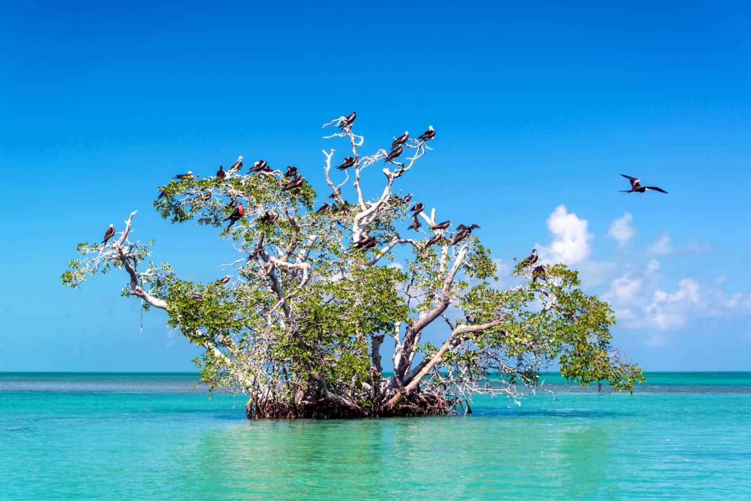 Sian Ka’an, Mexico | Magic Blue Planet