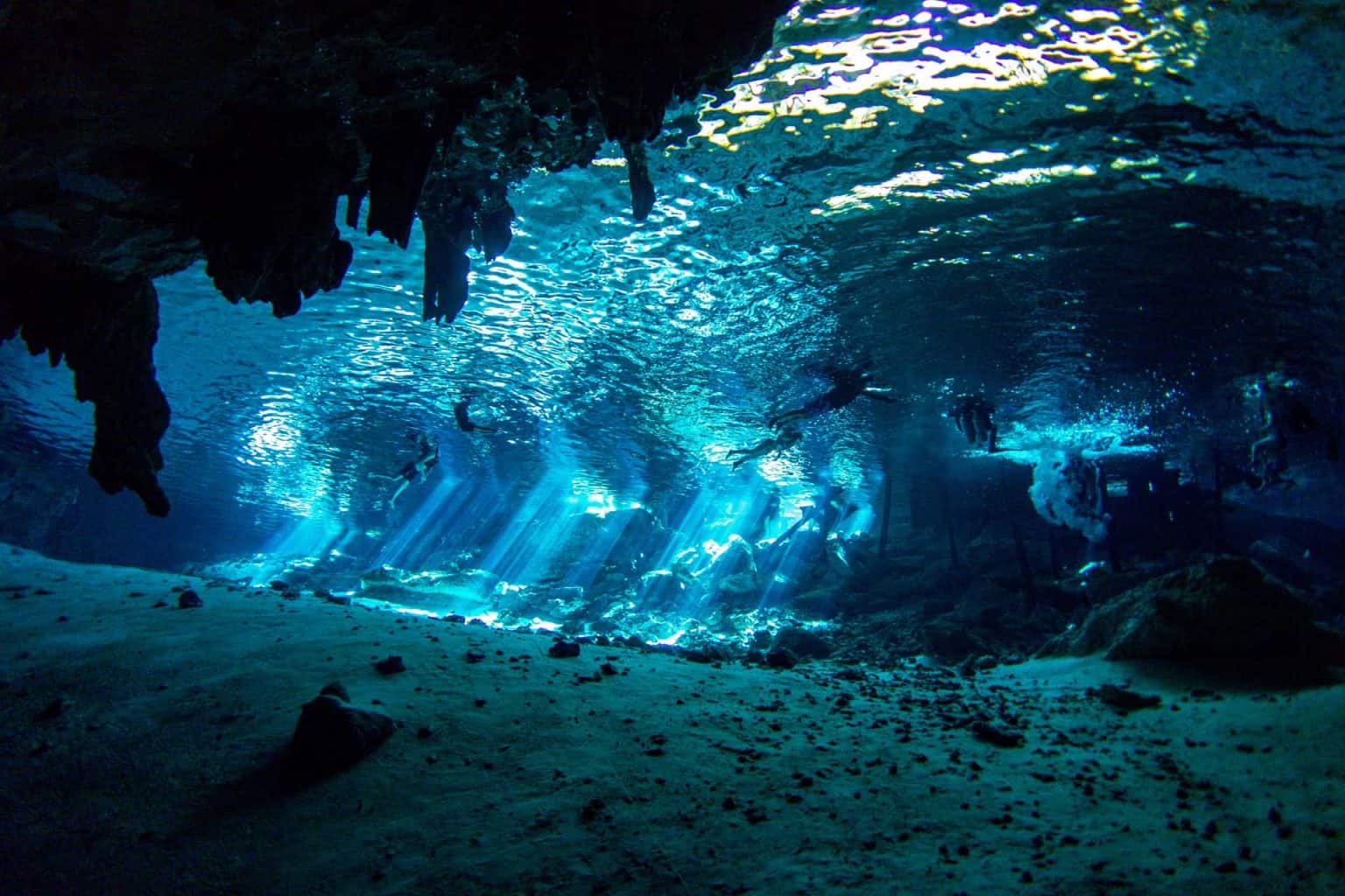 Cenote Diving In Mexico – 16 Spectacular Dives