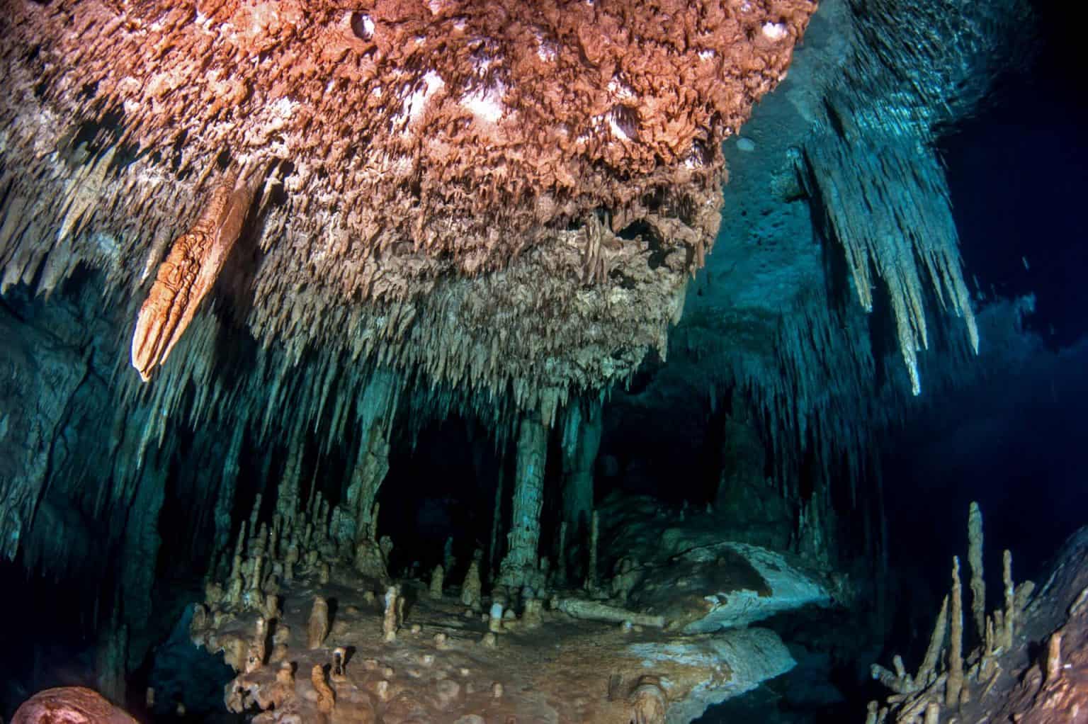 Cenote Diving In Mexico – 16 Spectacular Dives